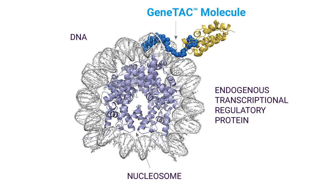 Our Approach – Design Therapeutics